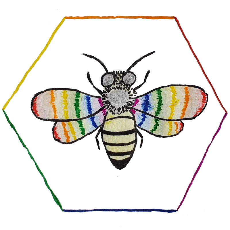 A.E.P.Schmitt : drawings